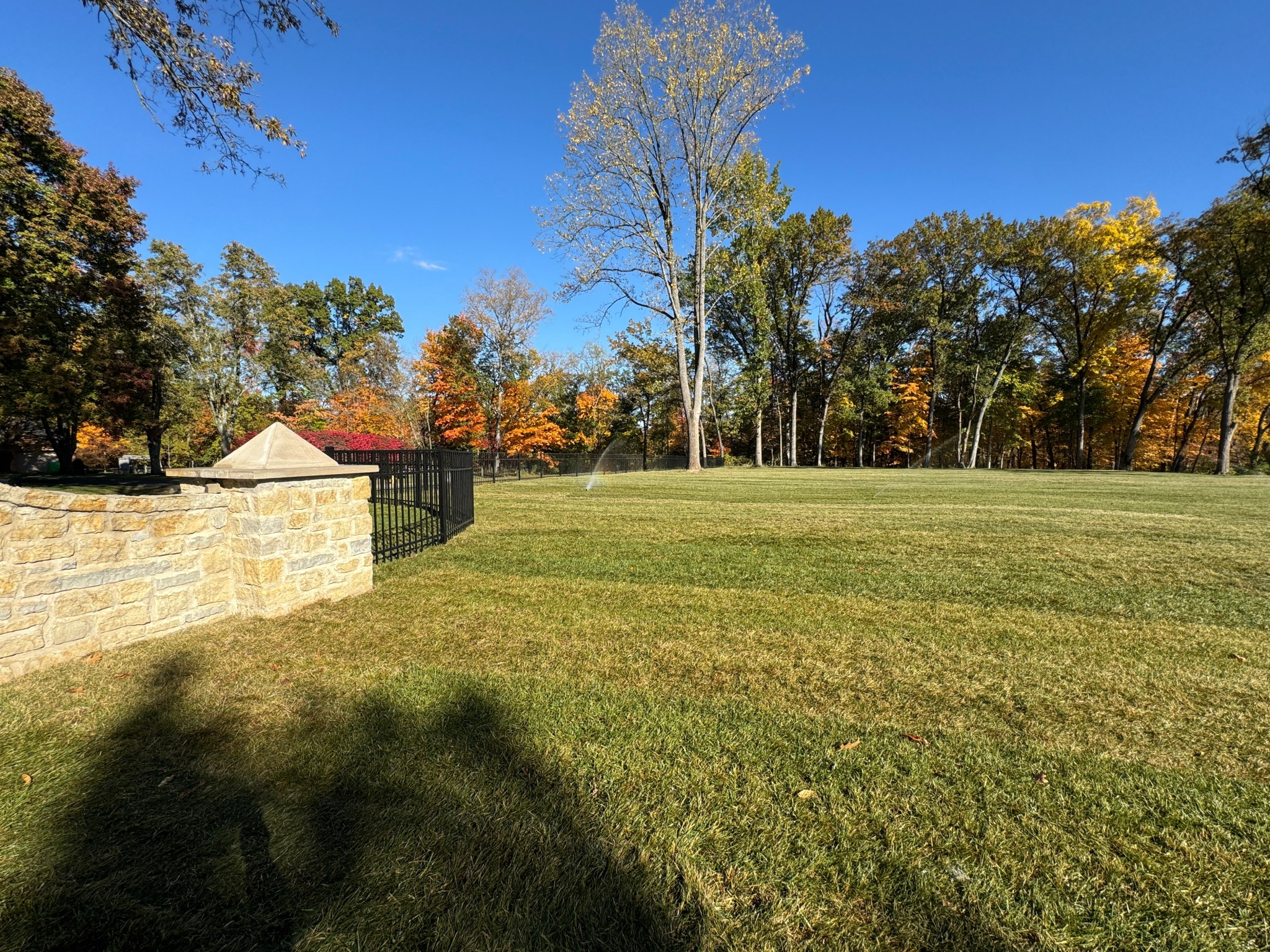Natural Turf - Motz Turf Farm